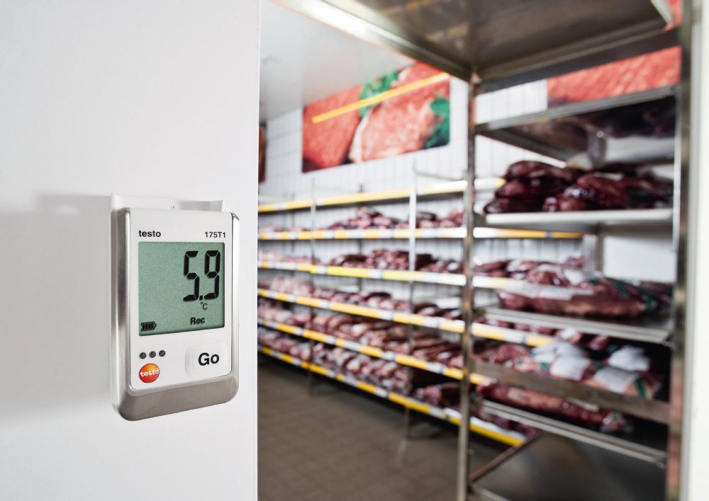 Two Channel Temperature data logger - Testo 175 T2 - Suchet System